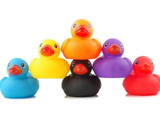 Hierarchy vs egalitarianism | Blog | Expertisecentrum Human Resource ...