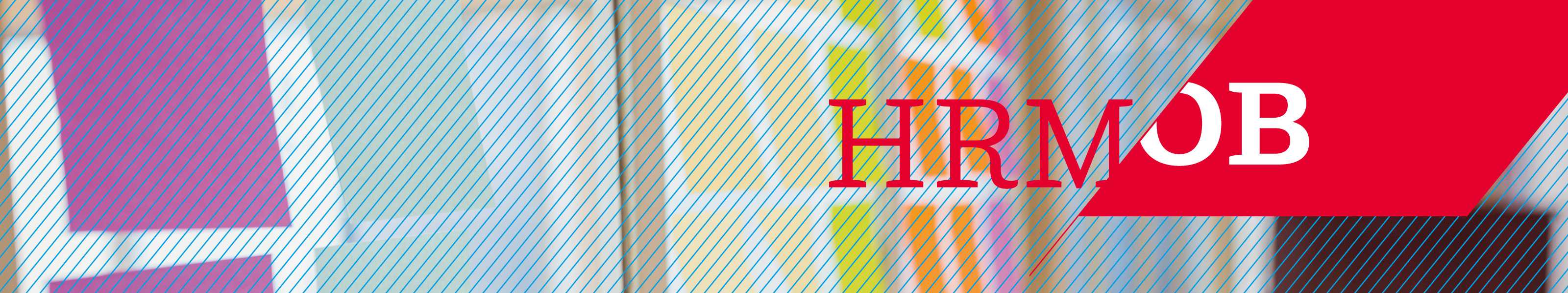 Hierarchy vs egalitarianism | Blog | Expertisecentrum Human Resource ...