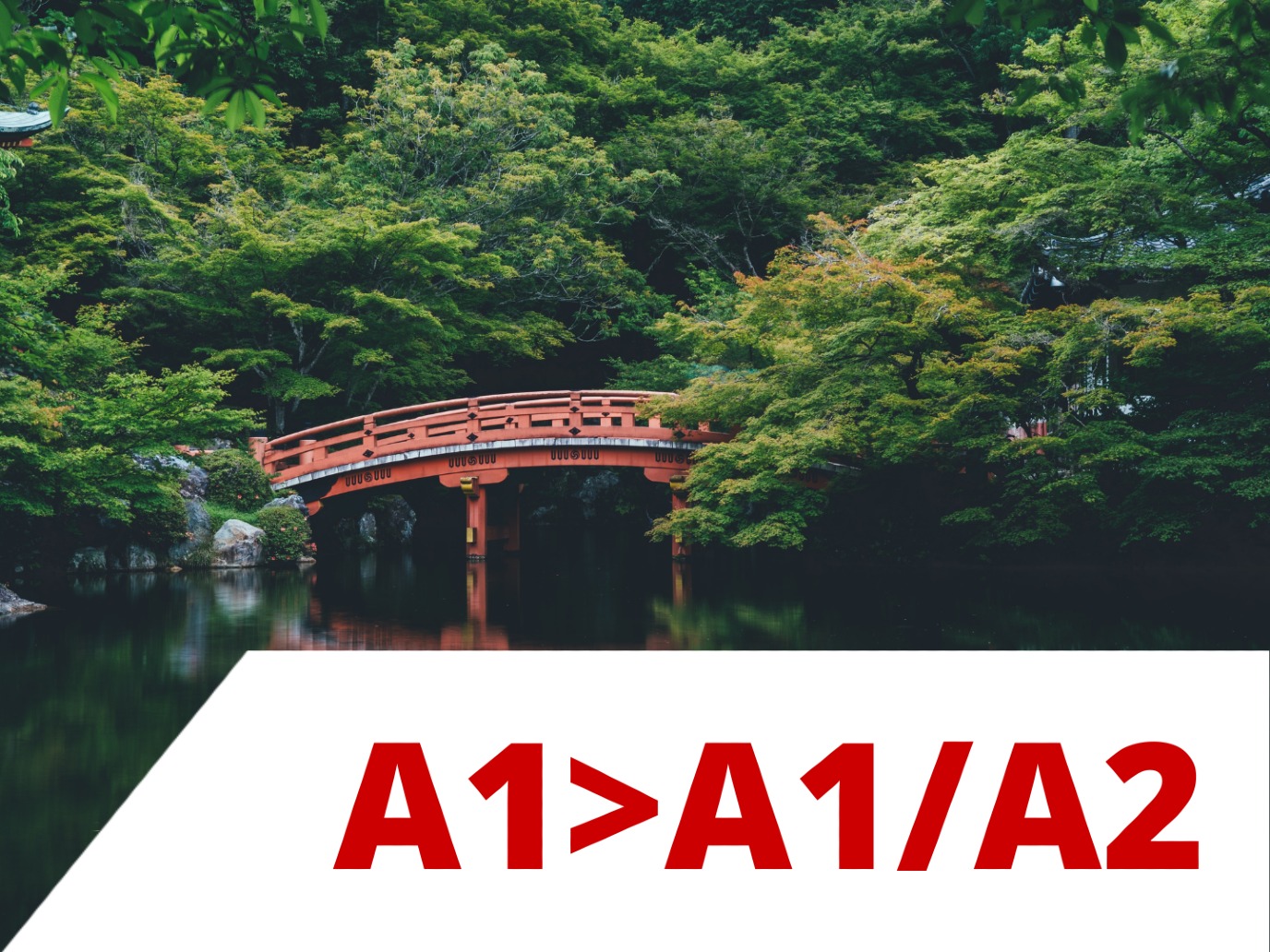 Japanese | Language courses | Language Centre | University of Groningen