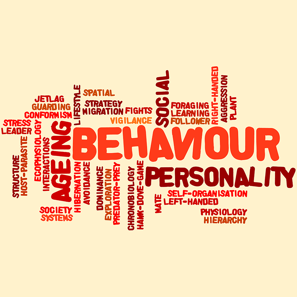 Research | GELIFES | University of Groningen