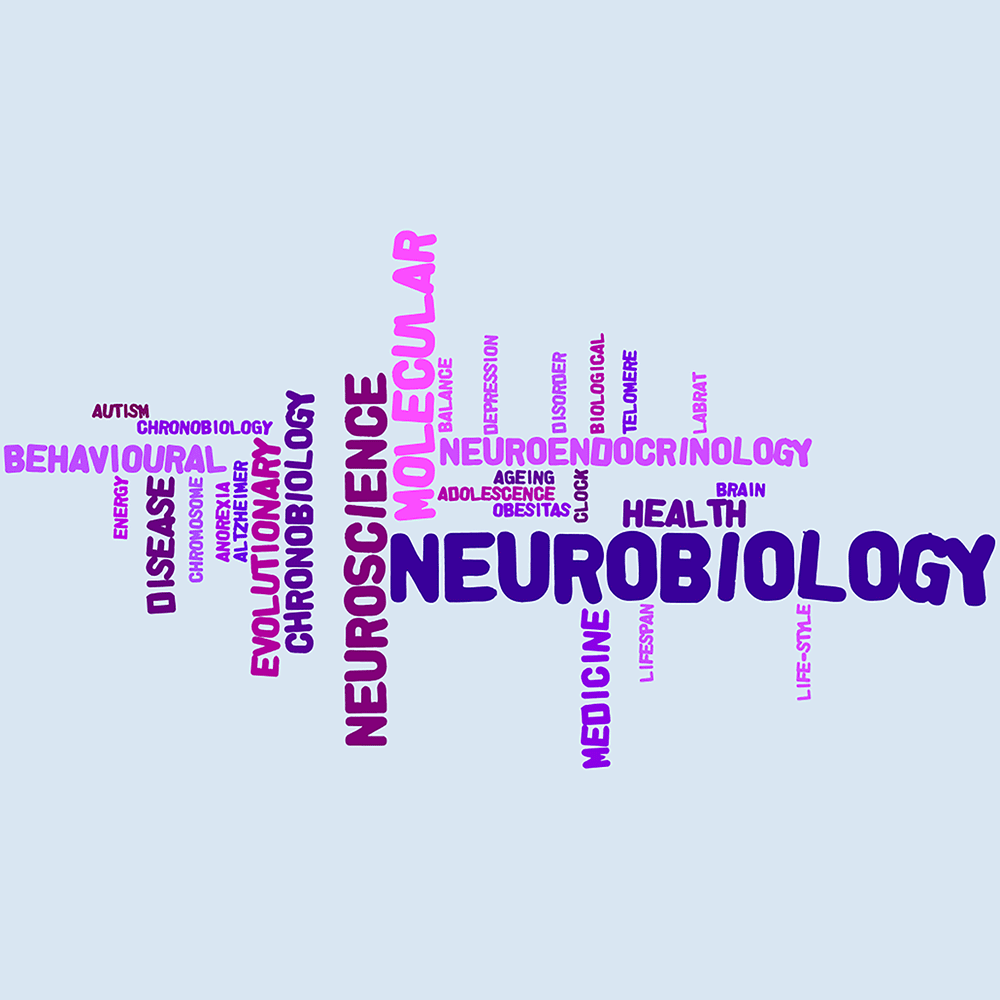 Research | GELIFES | University of Groningen