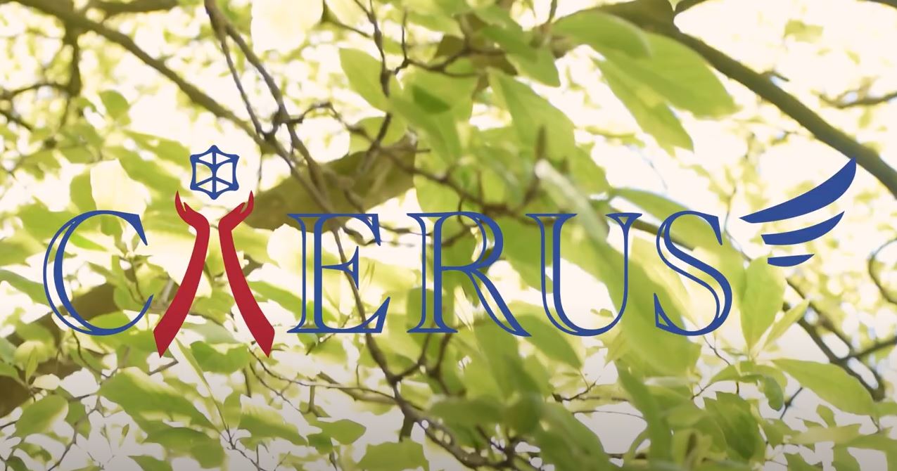 Student Life | University College Groningen | University of Groningen