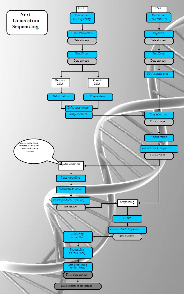 Quality | Genome Analysis Facility | Rijksuniversiteit Groningen